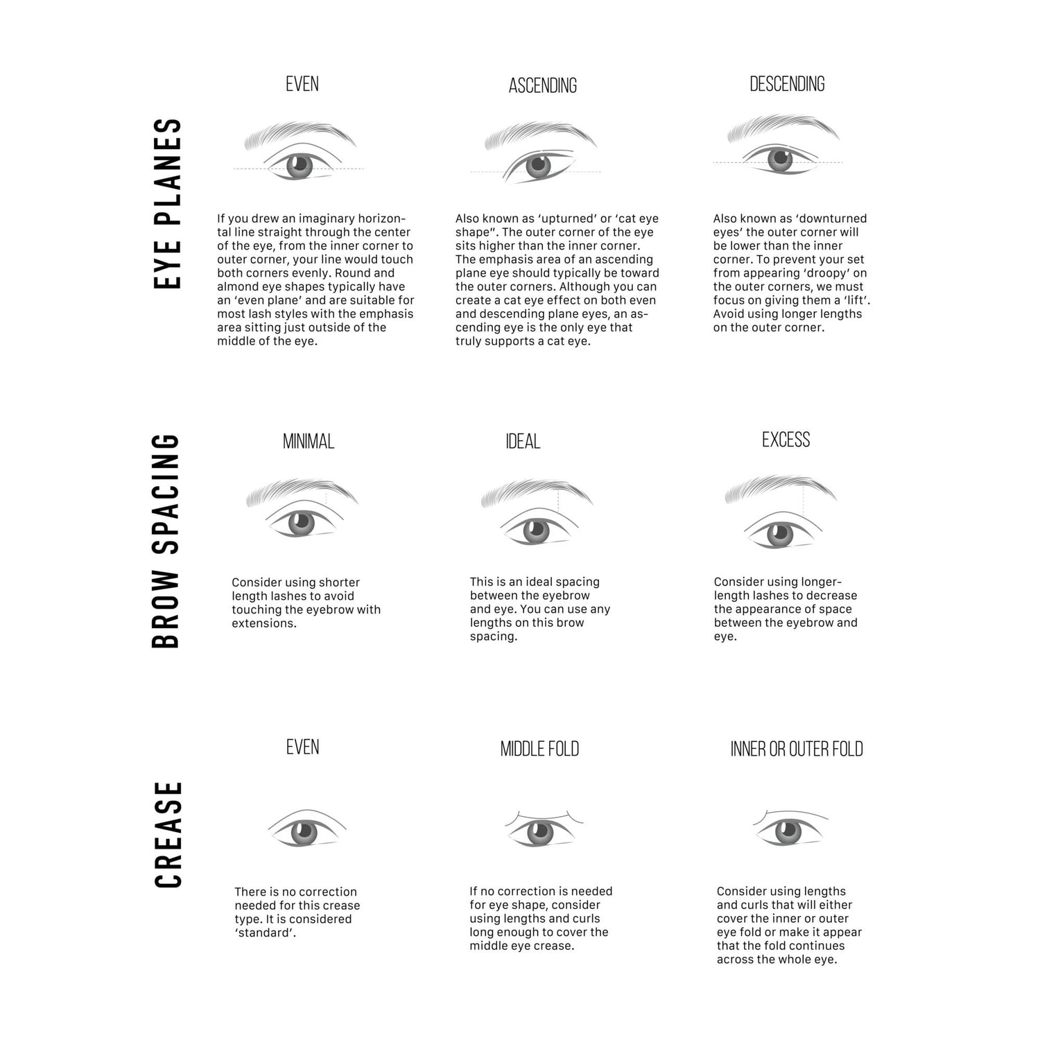 FREE Lash Style Chart PDF